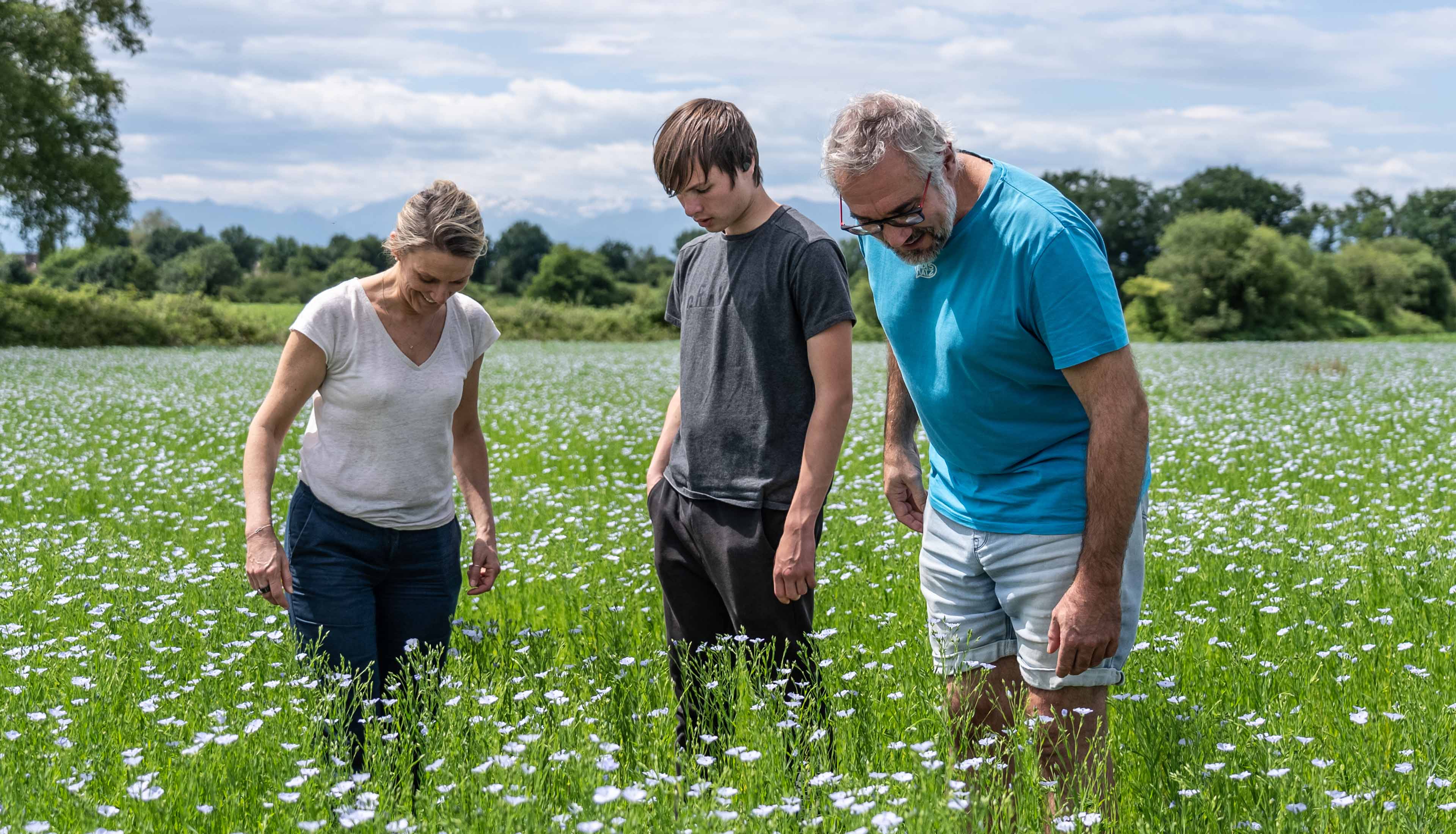 Un lin bon pour la santé, bon pour le palais